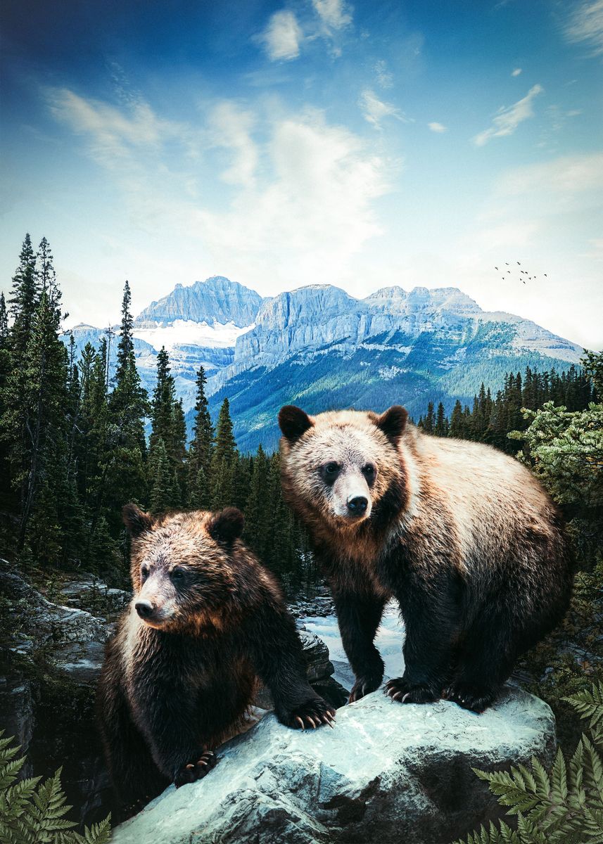 'Two Bear Cubs' Poster, picture, metal print, paint by Kilo Byte | Displate