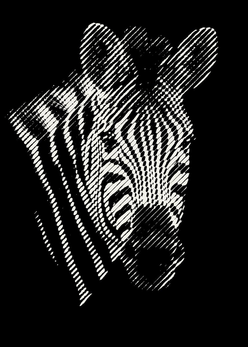 'Zebra Face Pop Art' Poster, picture, metal print, paint by Scotch ...