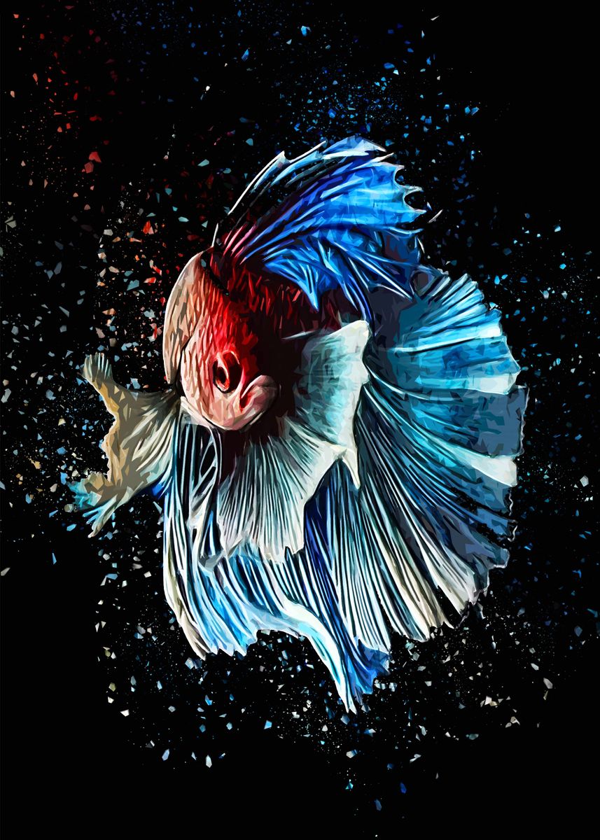 'Angry Betta Fish' Poster, picture, metal print, paint by Oizy ...