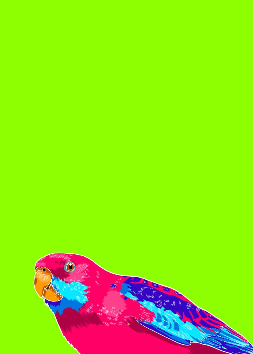 'Crimson Rosella' Poster, picture, metal print, paint by Jamie Roberts ...