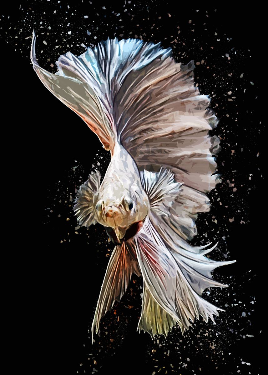 'Betta Fish Siilver Color' Poster, picture, metal print, paint by Oizy ...