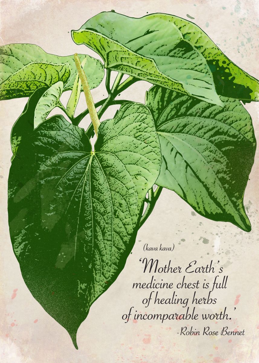 'Kava Kava' Poster, picture, metal print, paint by Eden Design | Displate