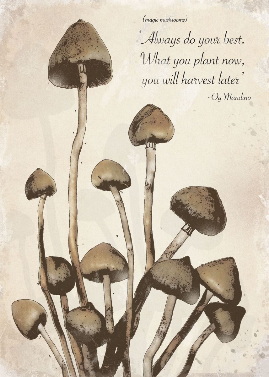 'Mushrooms' Poster, picture, metal print, paint by Eden Design | Displate