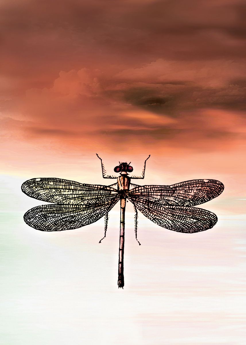 'DRAGONFLY IA' Poster, picture, metal print, paint by Pia Schneider ...