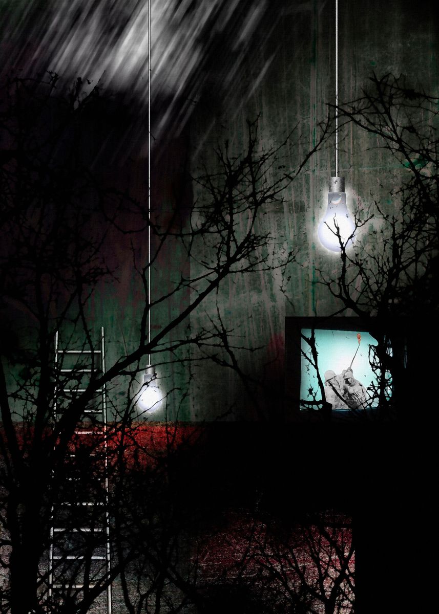 'Dark room' Poster, picture, metal print, paint by Bruce Rolff | Displate