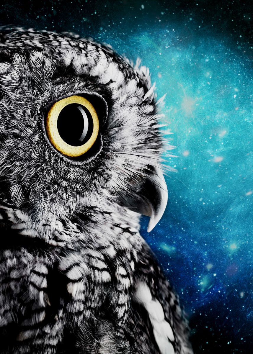 'Owl Galaxy' Poster, picture, metal print, paint by Mateusz Ślemp ...