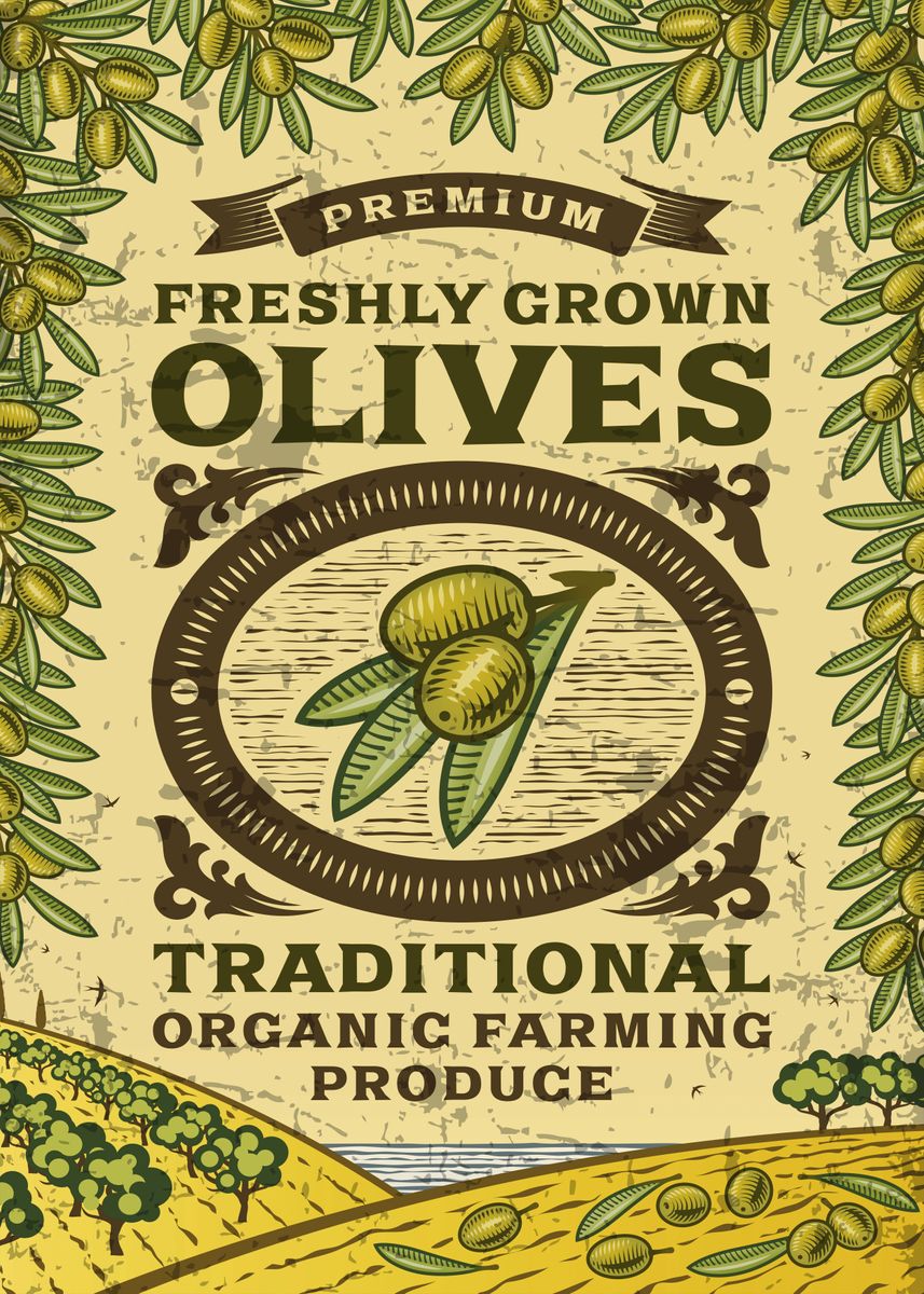 'Olive retro poster' Poster, picture, metal print, paint by Moon ...
