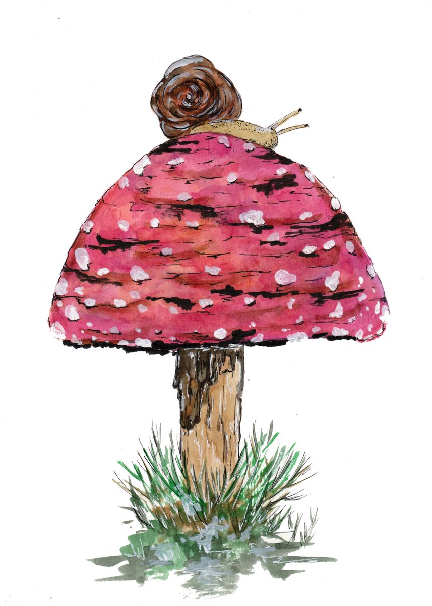 'Fly Agaric and Snail' Poster by Sebastian Grafmann | Displate