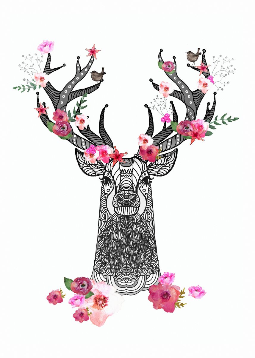'CUTE STAG ' Poster, picture, metal print, paint by Monika Strigel ...