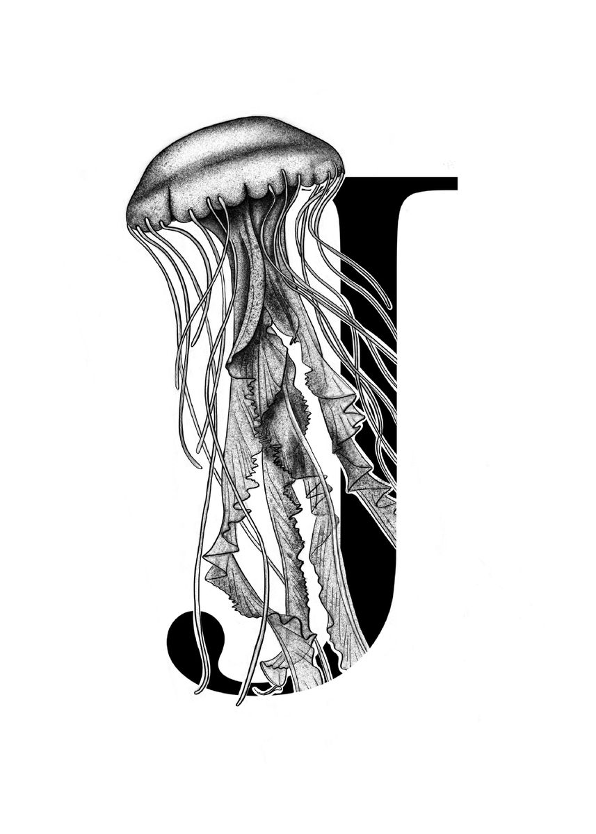 'J is for Jellyfish' Poster, picture, metal print, paint by virilustra ...