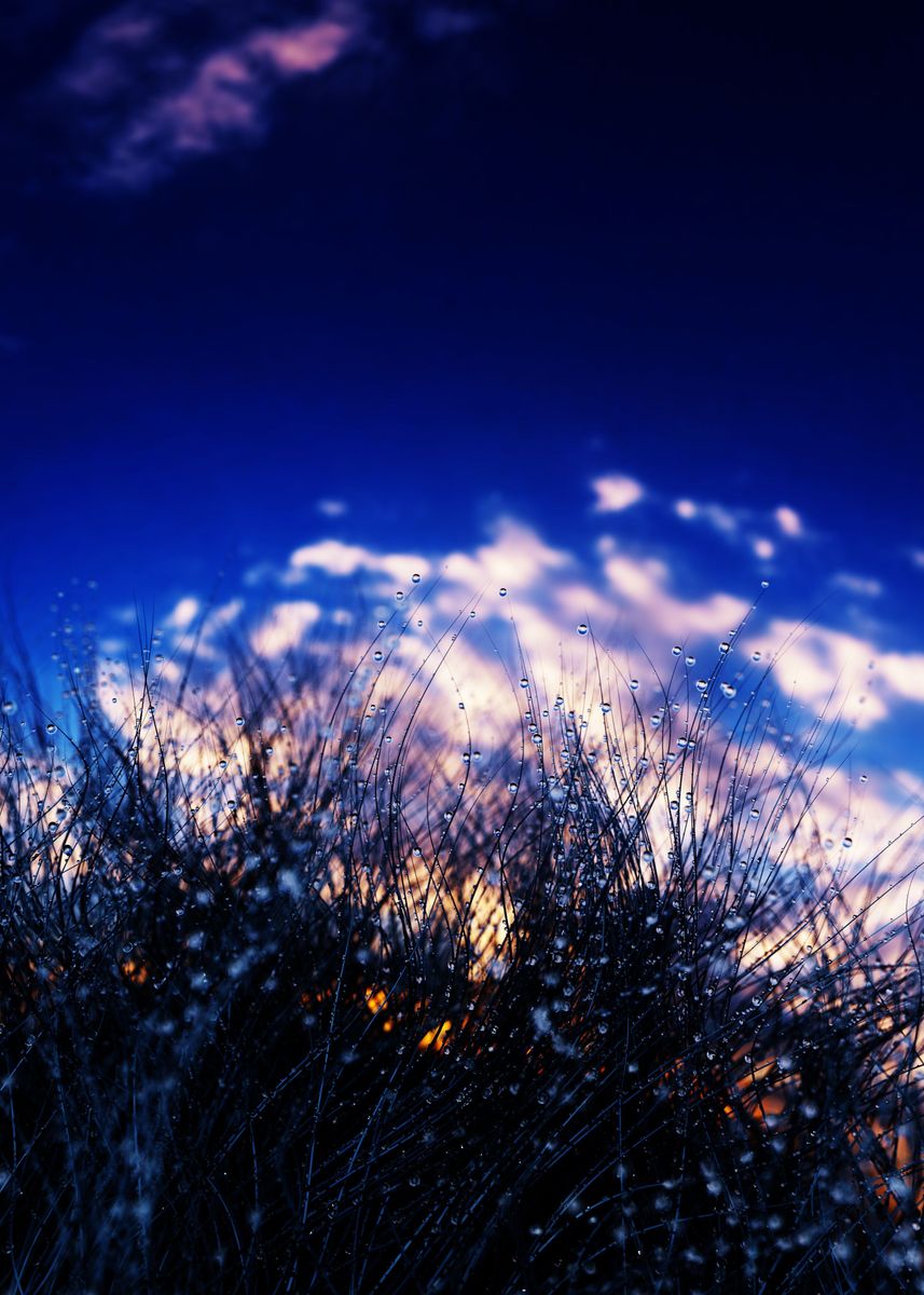 'The dew' Poster, picture, metal print, paint by Aivaras Grauzinis ...