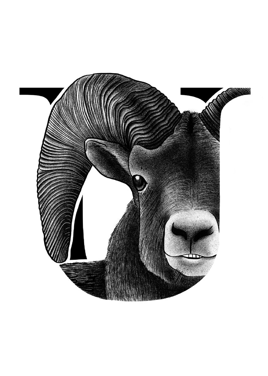 'U is for Urial' Poster by virilustra | Displate