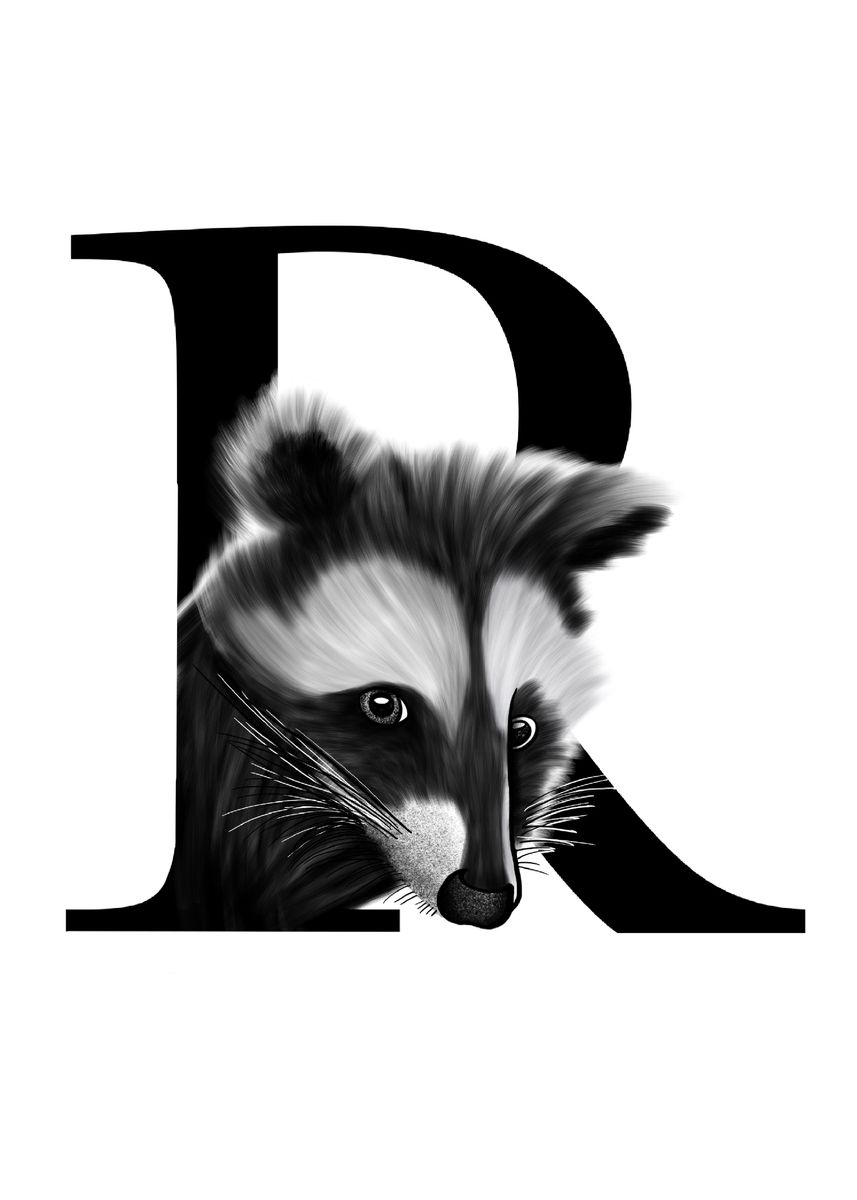'R is for Raccoon' Poster, picture, metal print, paint by virilustra ...