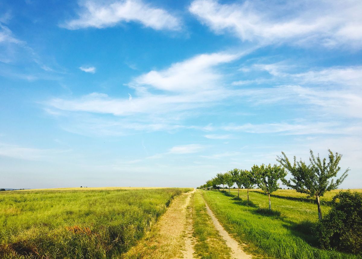 'Endless Path' Poster by Sebastian Kaes | Displate