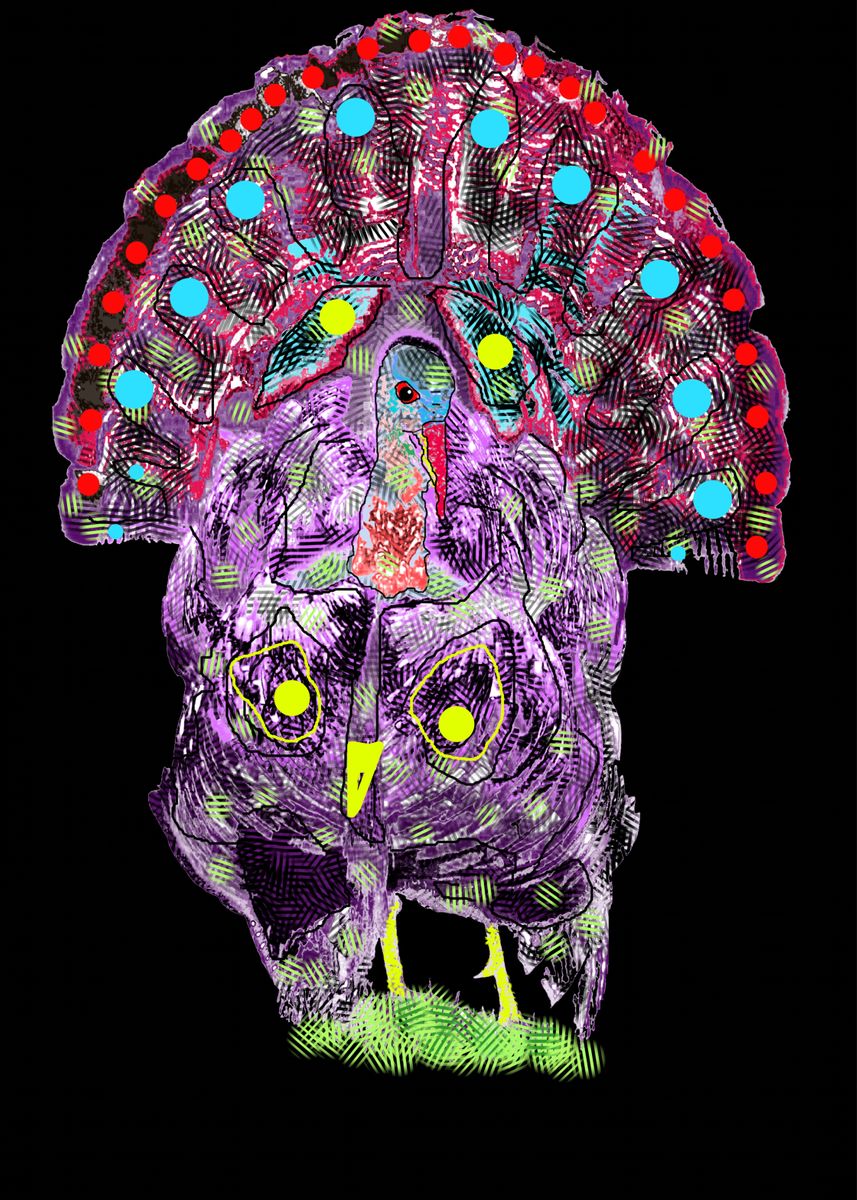 'Turkey and owls' Poster, picture, metal print, paint by fateh selim ...