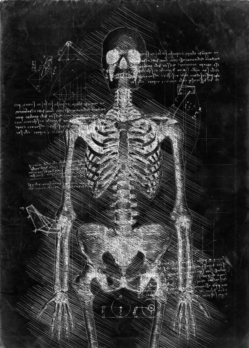 'Skeleton' Poster, picture, metal print, paint by Unchained Tom | Displate