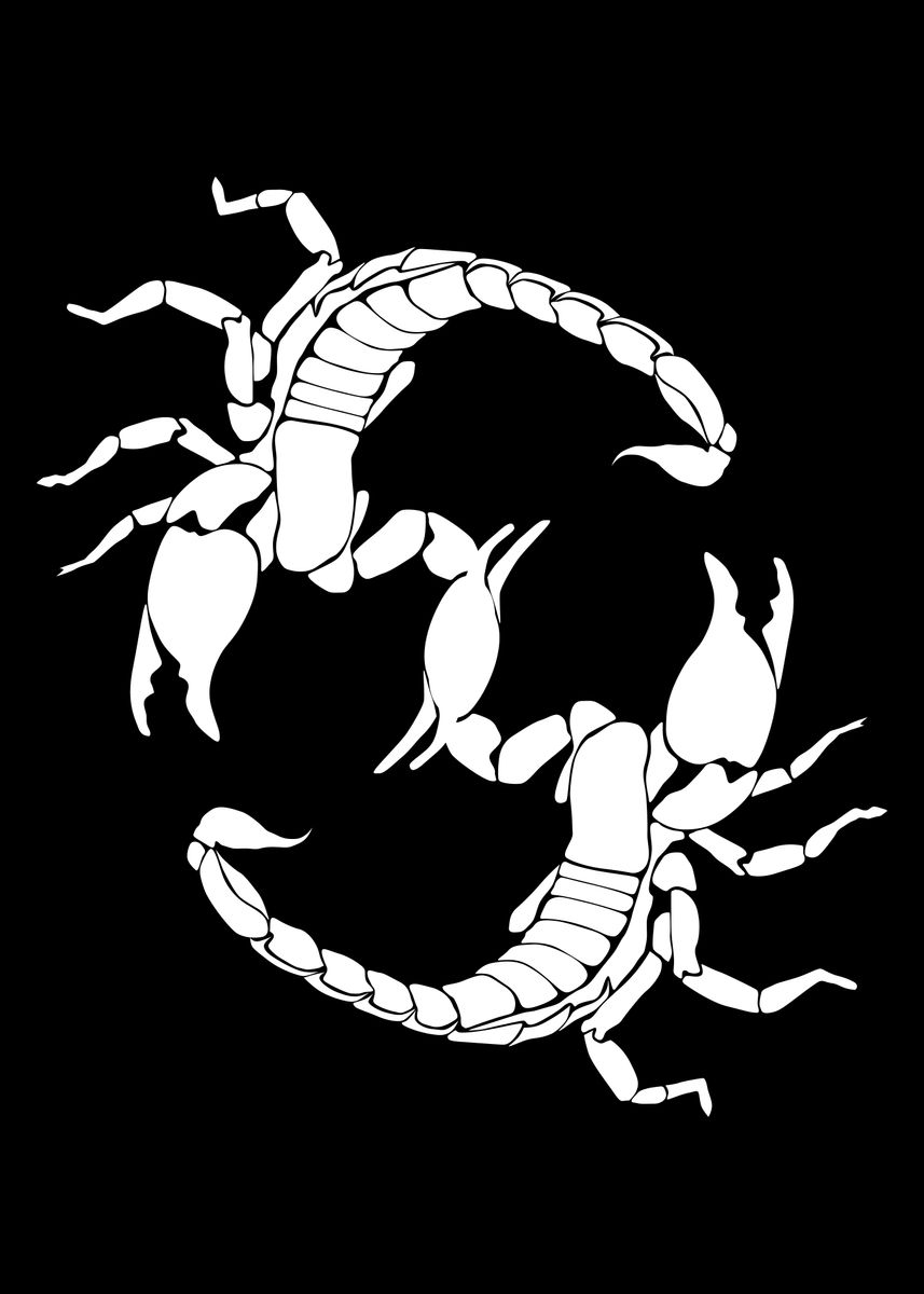 'S For Scorpion' Poster by TMBTM | Displate