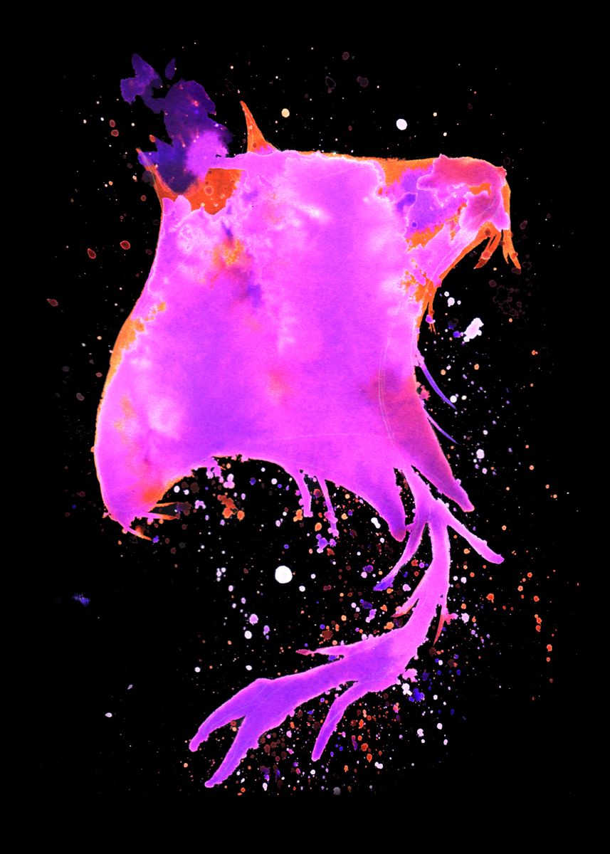 'Pink Manta Ray' Poster by Sebastian Grafmann | Displate