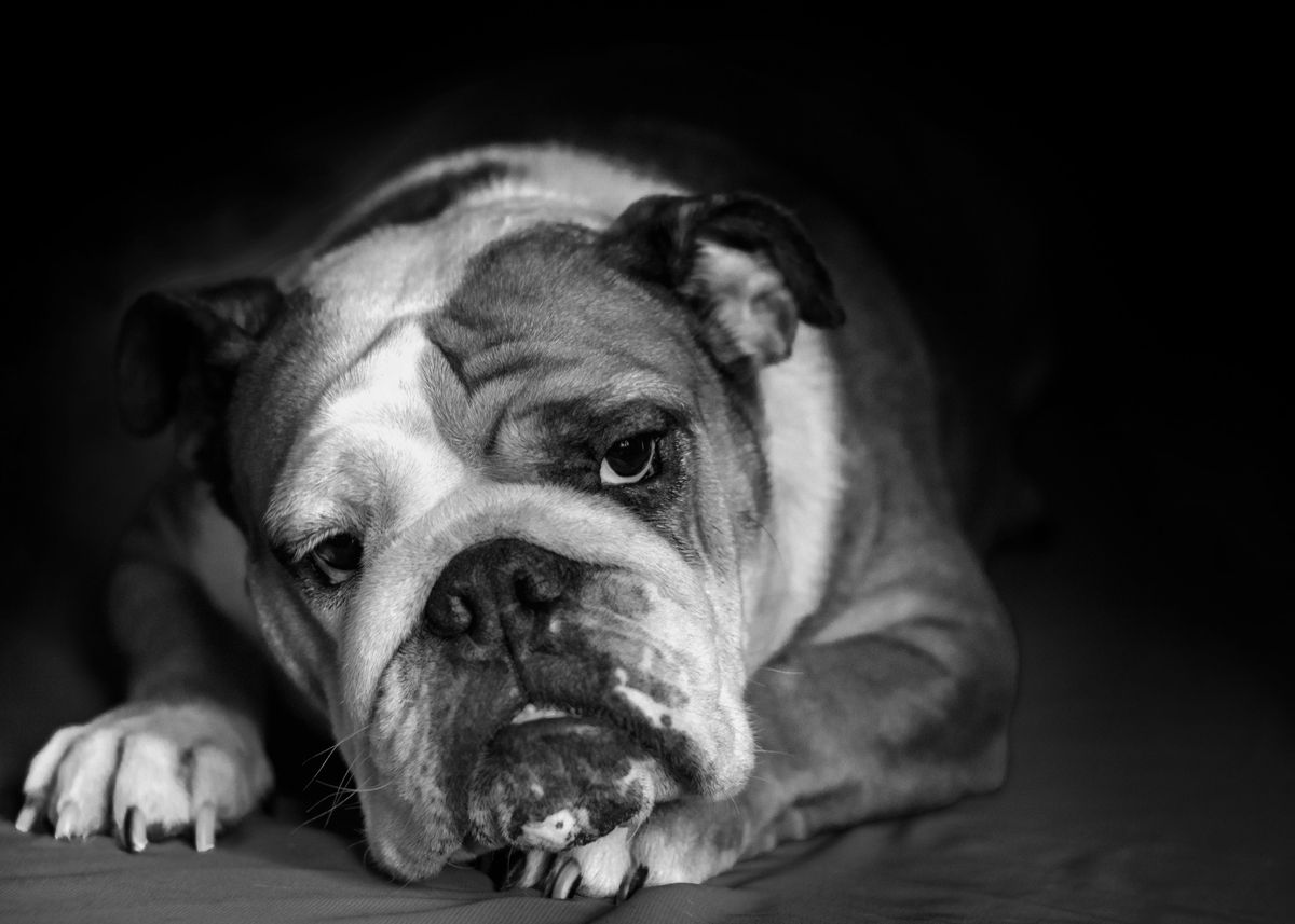 'sad philosopher' Poster by Irina Safonova | Displate