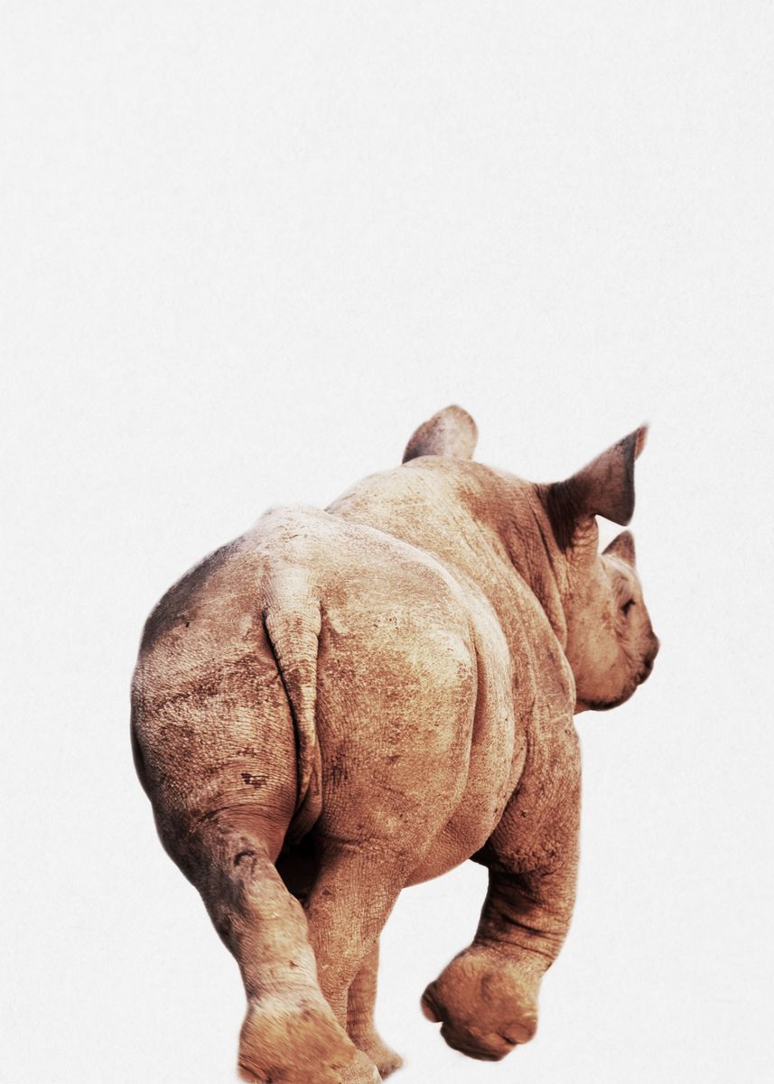 'baby hippo back view ' Poster, picture, metal print, paint by uwears ...