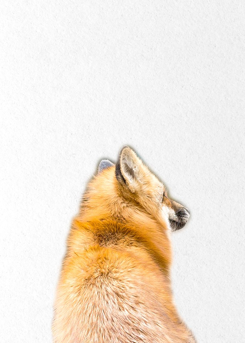 'fox back view woodland' Poster, picture, metal print, paint by uwears ...