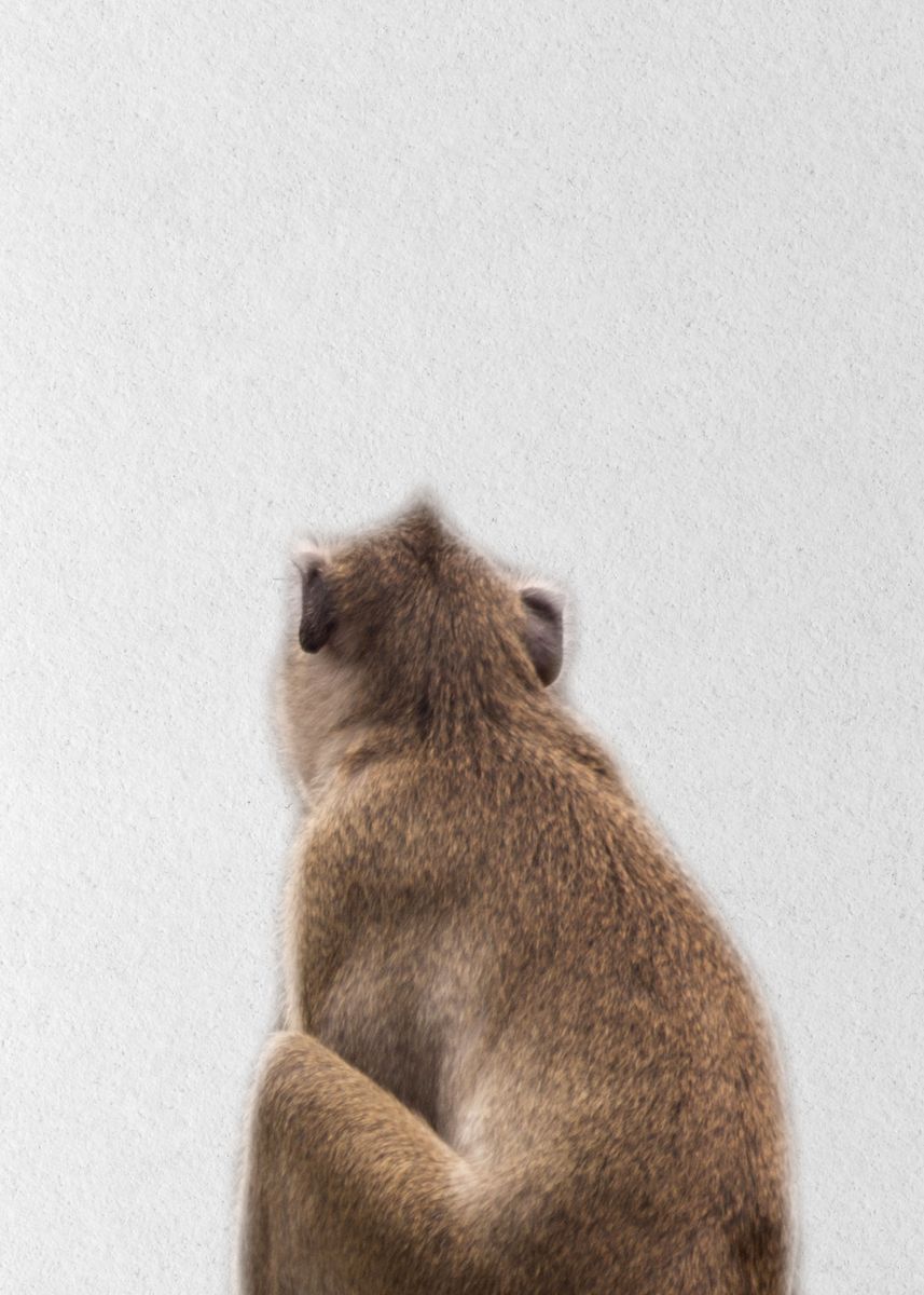 'monkey back view ' Poster by uwears | Displate