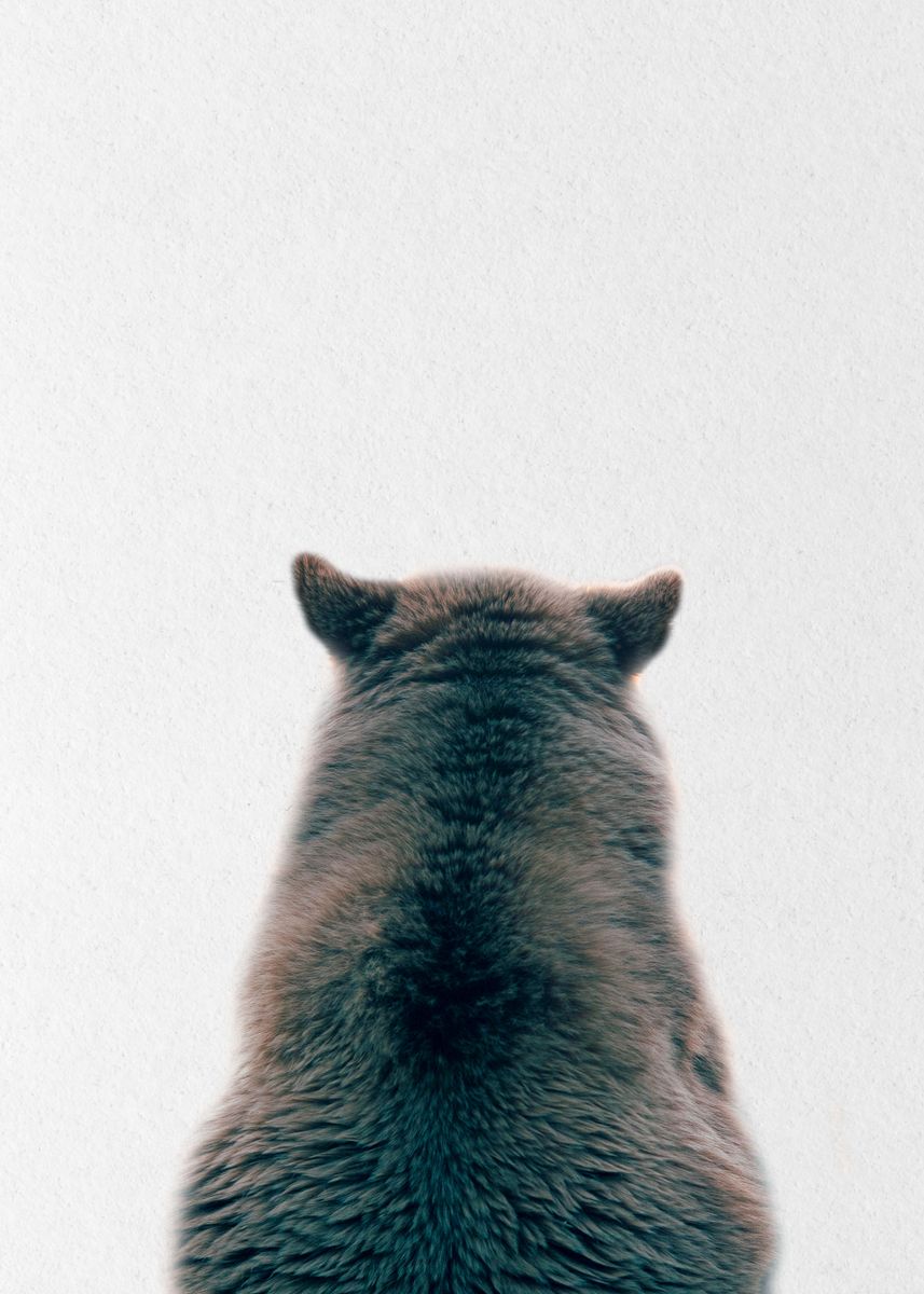 'grey black bear back view ' Poster, picture, metal print, paint by ...