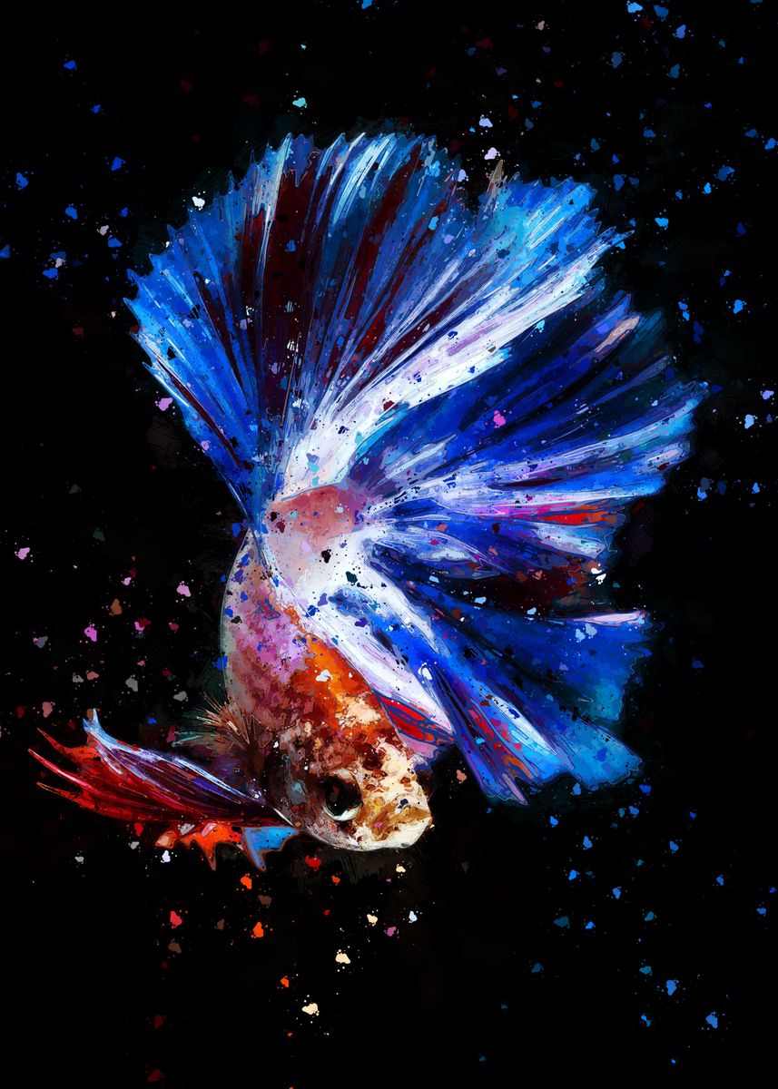 'Multi Color Fighting Fish' Poster, picture, metal print, paint by ...