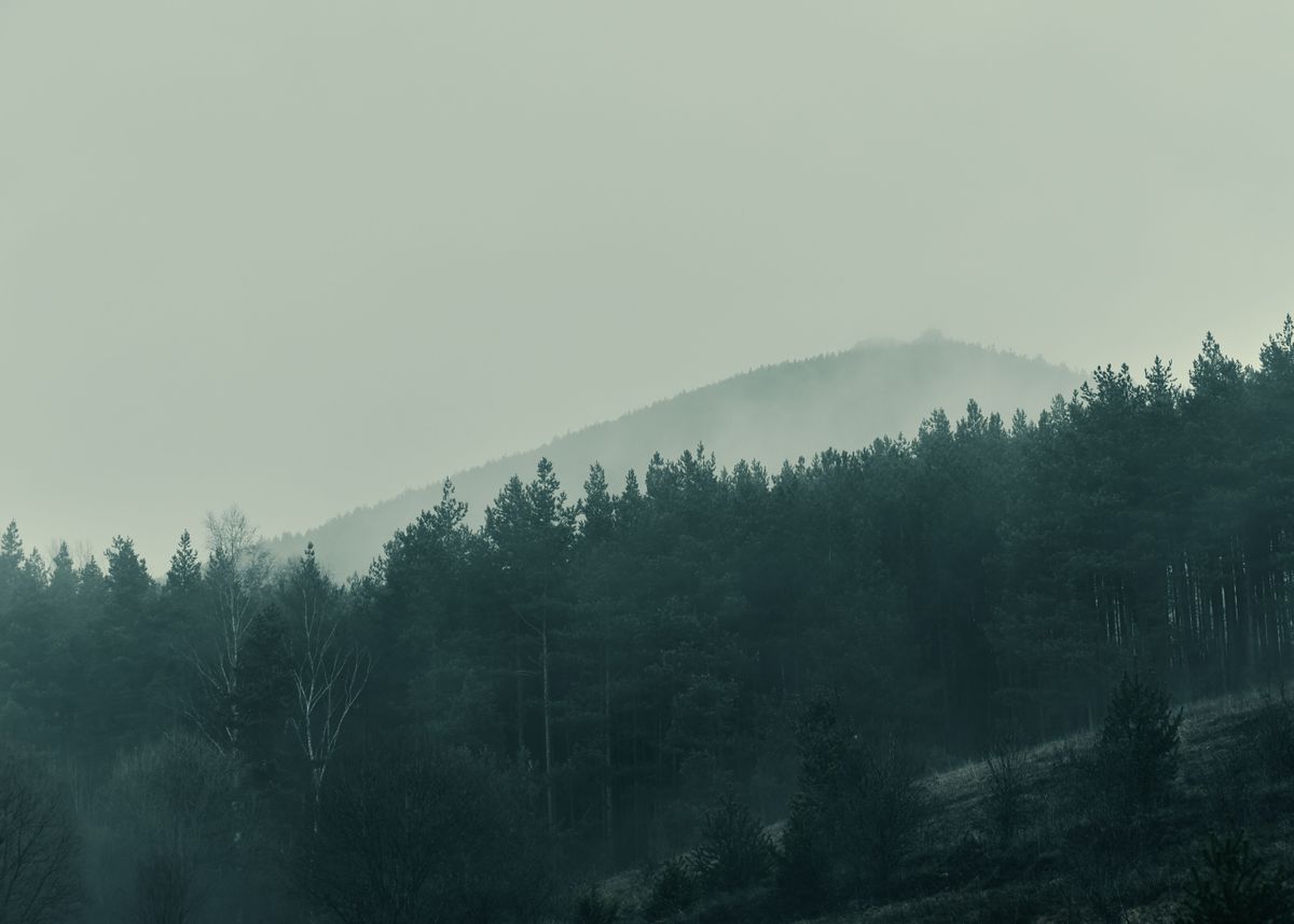 'Dramatic fog mountain' Poster by Stanislav Slavov | Displate
