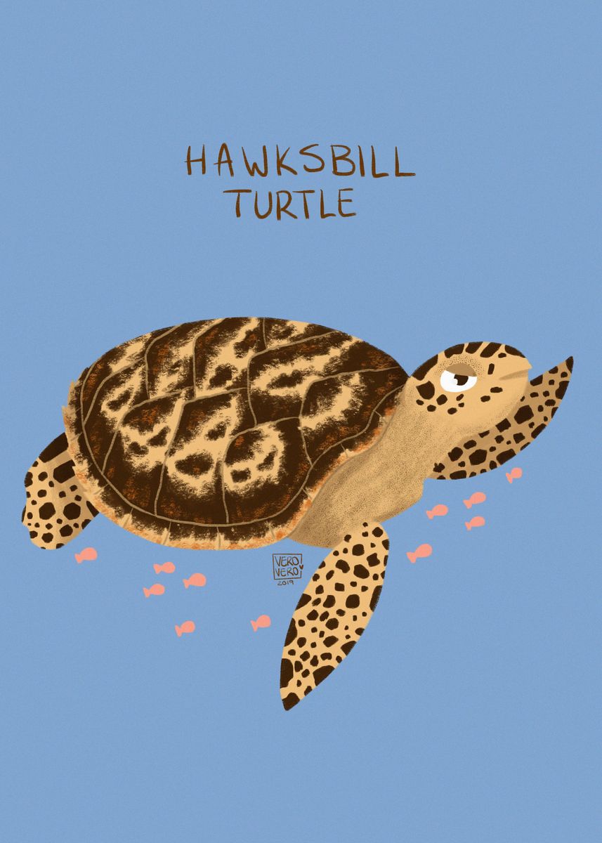 'Hawksbill Turtle' Poster, picture, metal print, paint by Vero ...