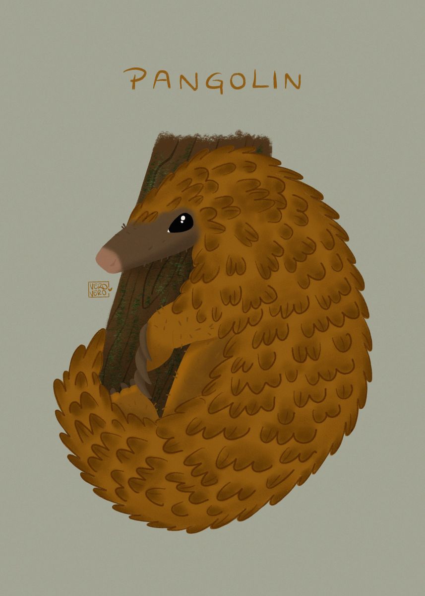 'Pangolin' Poster by Vero Gutierrez | Displate