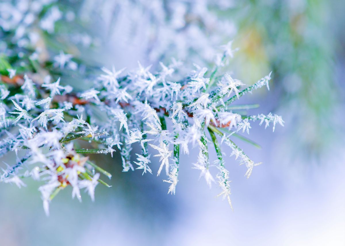 'Bitter Cold Soft Colors' Poster by Art Ofphotos | Displate