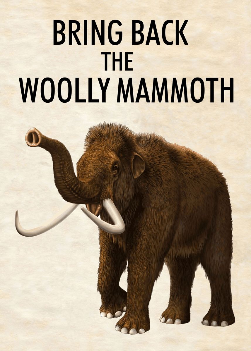 'Woolly Mammoth Bring Back' Poster, picture, metal print, paint by ...