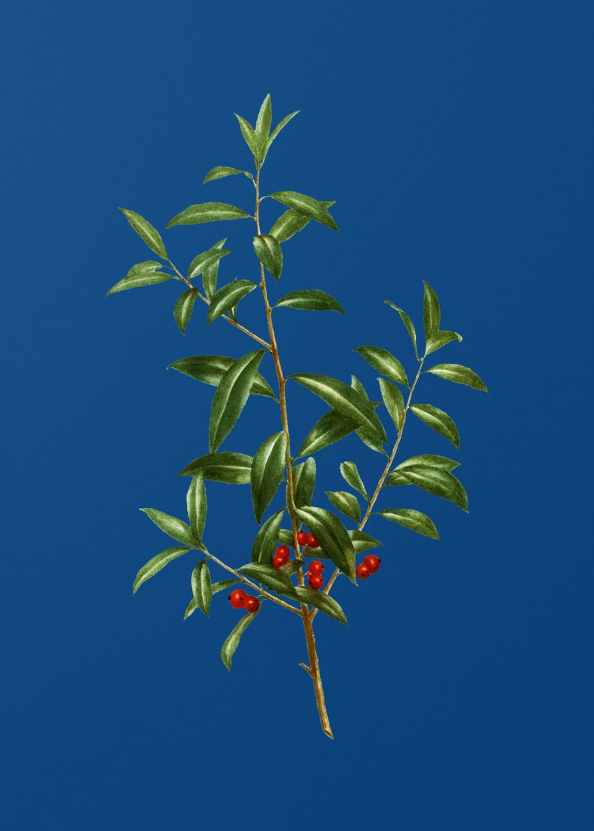 'Vintage Alabama Dahoon' Poster, picture, metal print, paint by Holy ...