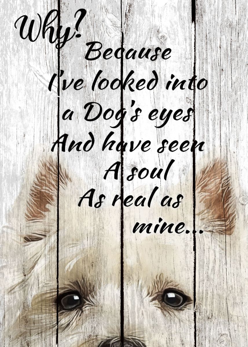 'Westie' Poster, picture, metal print, paint by Nick Cournoyer | Displate