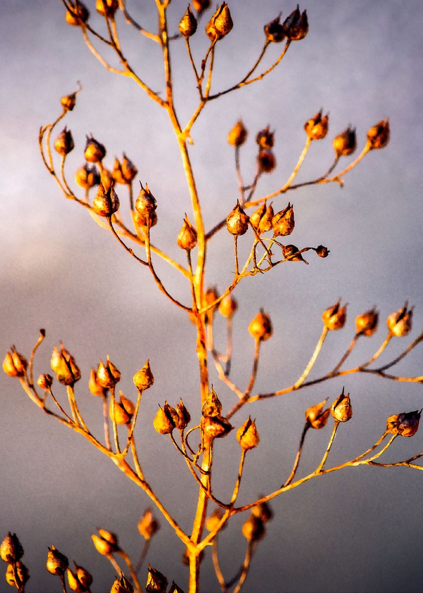 'The Tree Of Life Vertical' Poster by Art Ofphotos | Displate