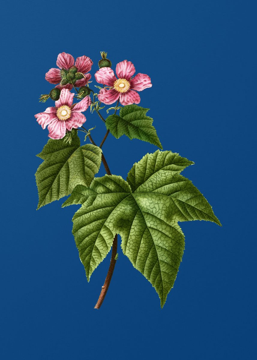 'Purple Flowered Raspberry' Poster, picture, metal print, paint by Holy ...