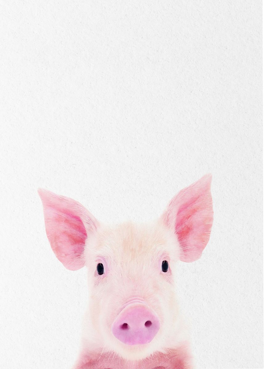 'pink small pig ' Poster, picture, metal print, paint by uwears | Displate