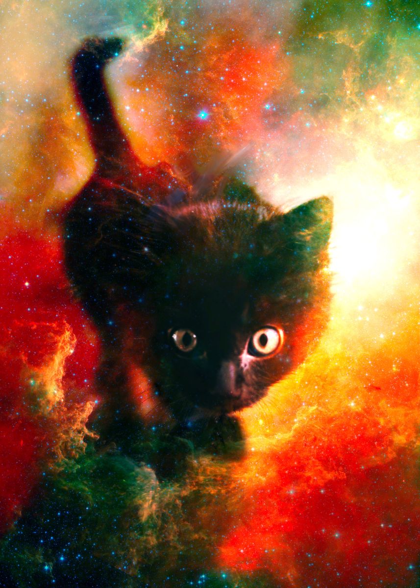 'Kitty' Poster, picture, metal print, paint by Mr Jackpots | Displate