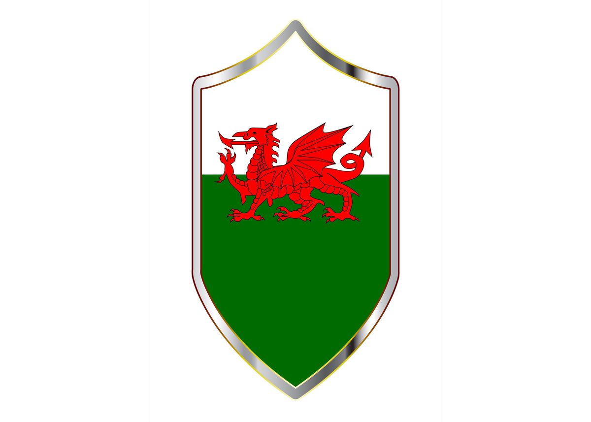 'Welsh Flag Crusader Shield' Poster by HomeStead Digital | Displate
