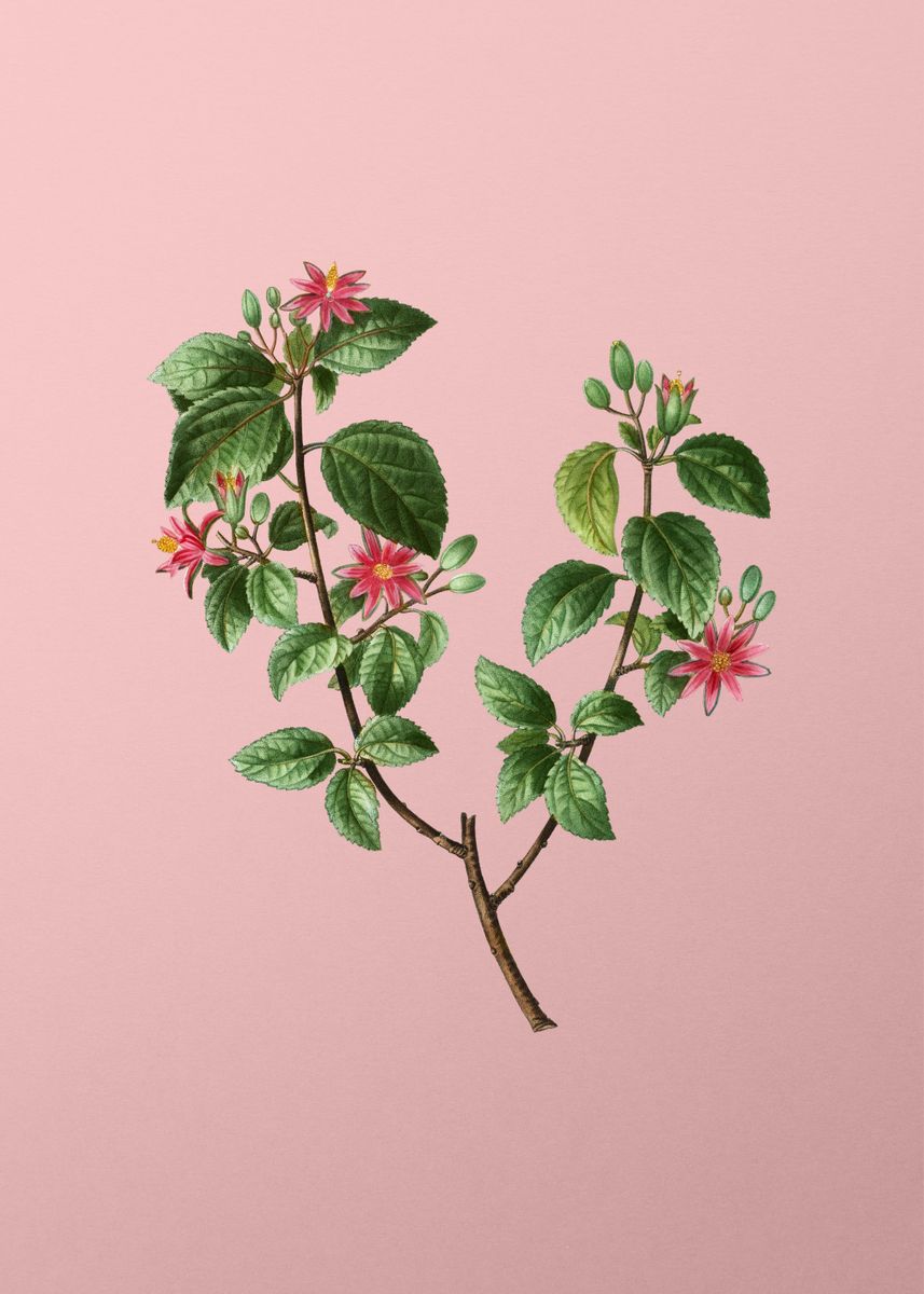 'Vintage Pink Flowers' Poster by Holy Rock Design | Displate