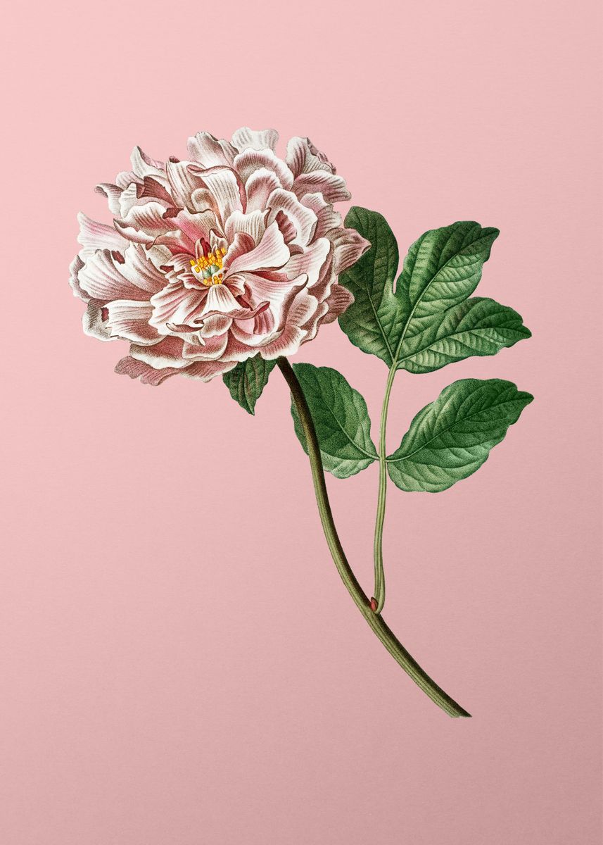 'Red and Pink Flowers' Poster, picture, metal print, paint by Holy Rock ...