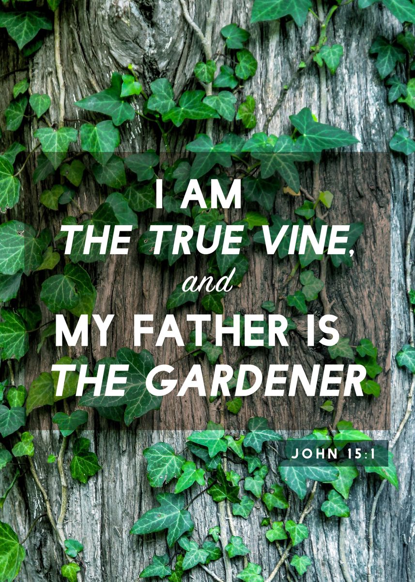 'Jesus is the Vine ' Poster, picture, metal print, paint by Veee | Displate