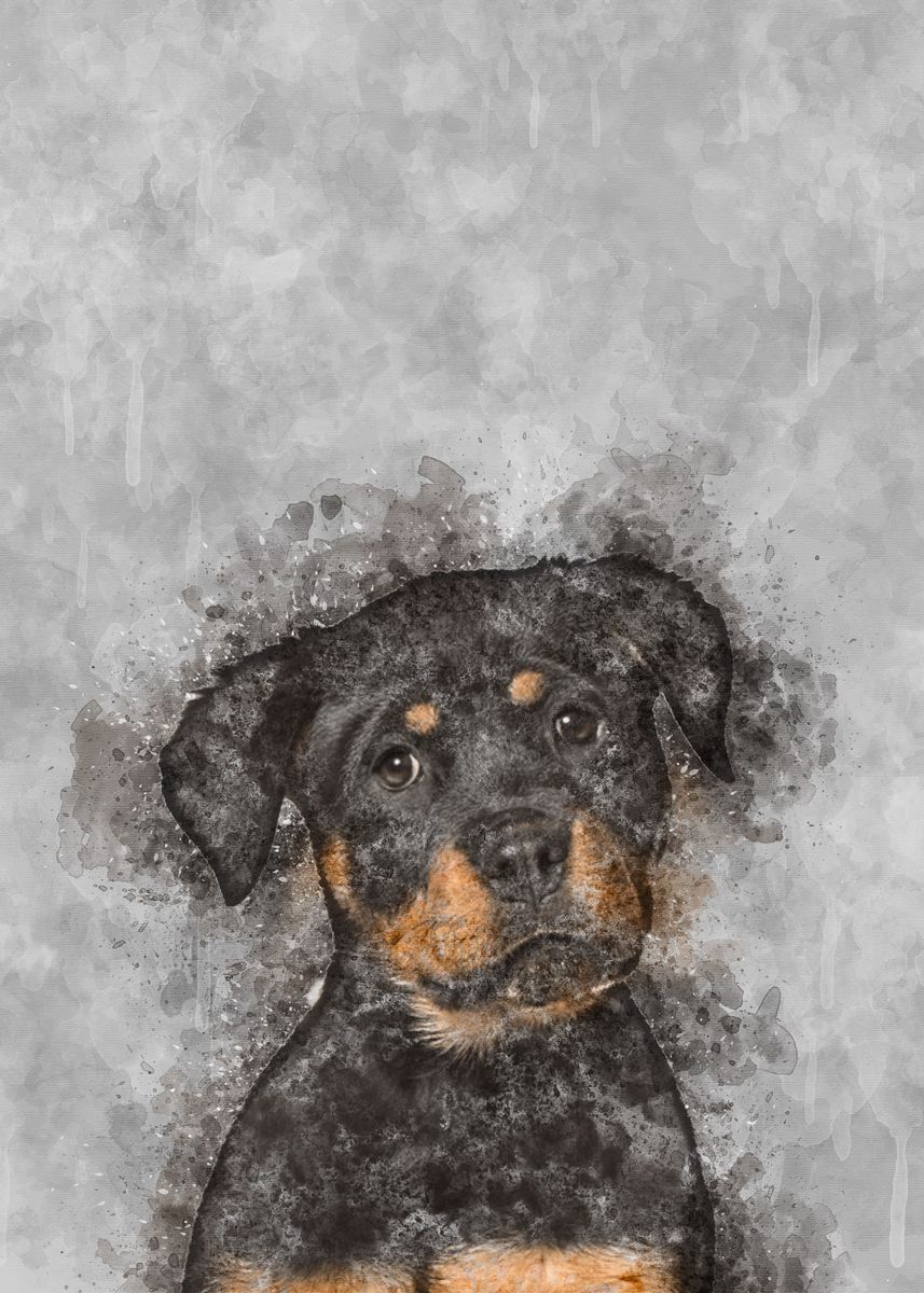 'Rottweiler Puppy' Poster by Olivia Emma | Displate