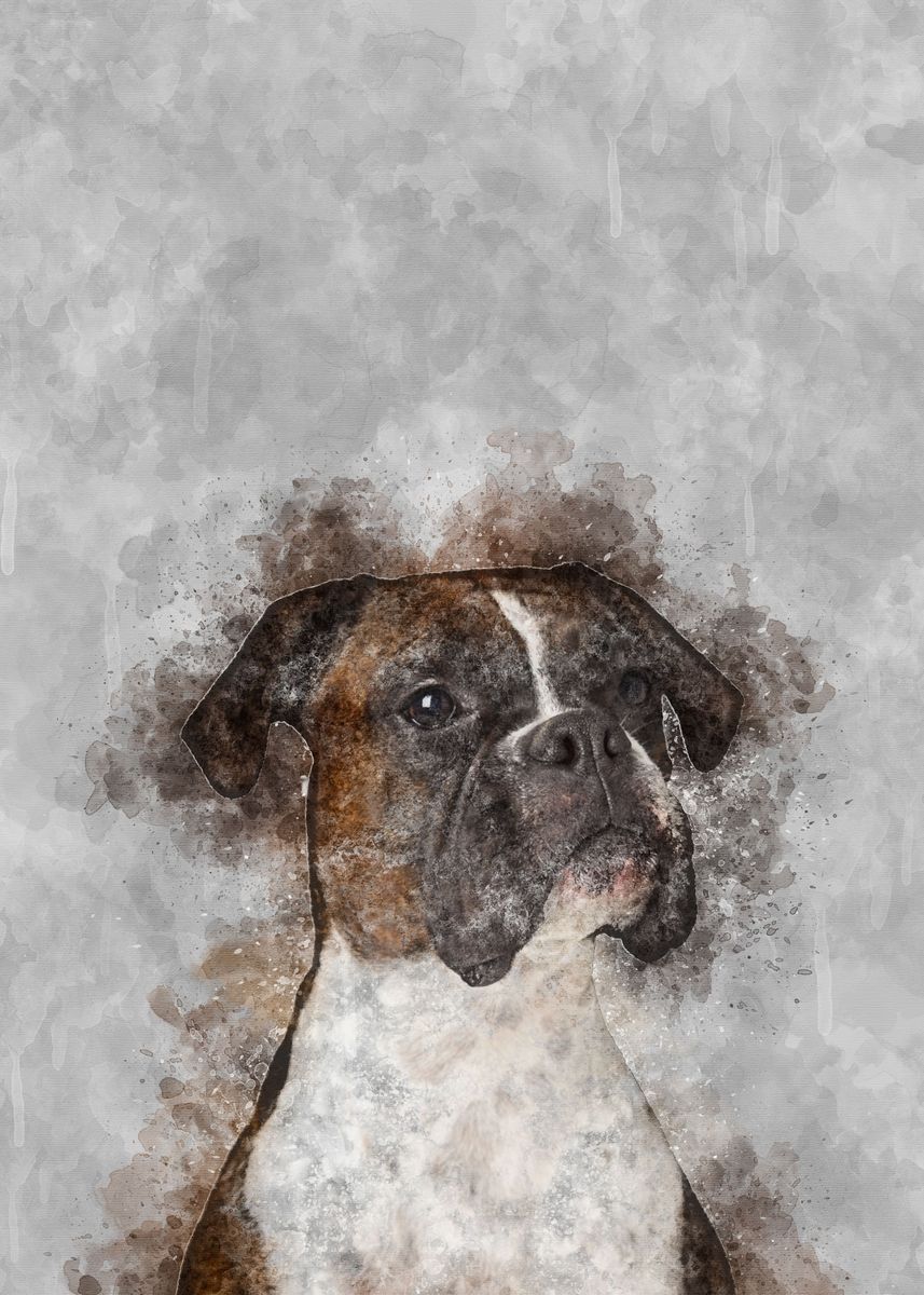 'Boxer Dog' Poster by Olivia Emma | Displate