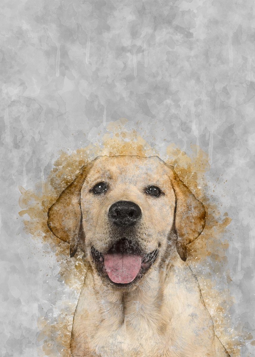 'Labrador Retriever' Poster, picture, metal print, paint by Olivia Emma ...