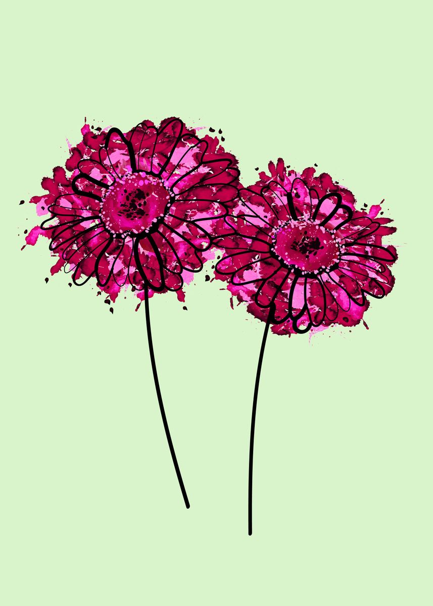 'Hot pink gebera daisy' Poster by Cindy Shim | Displate