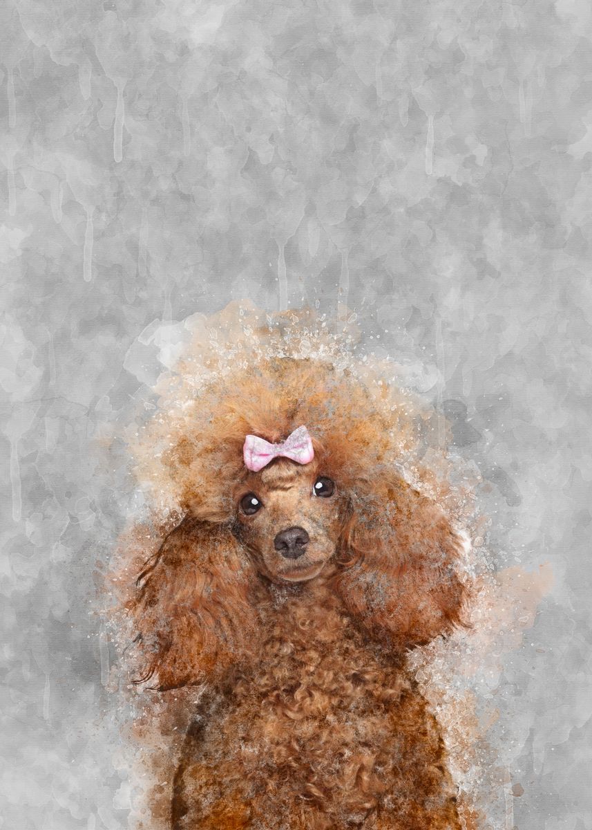 'Poodle Lady' Poster, picture, metal print, paint by Olivia Emma | Displate