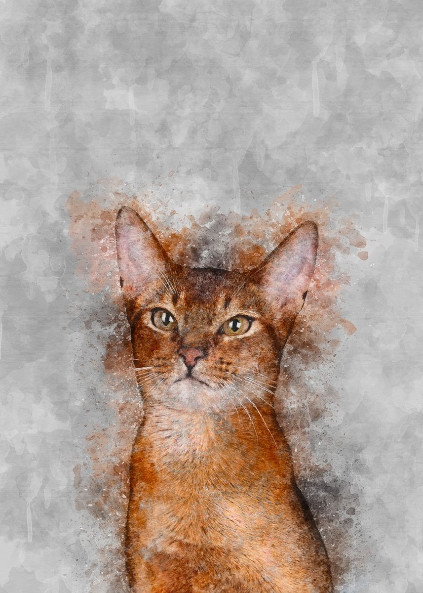 'Abyssinian' Poster, picture, metal print, paint by Olivia Emma | Displate