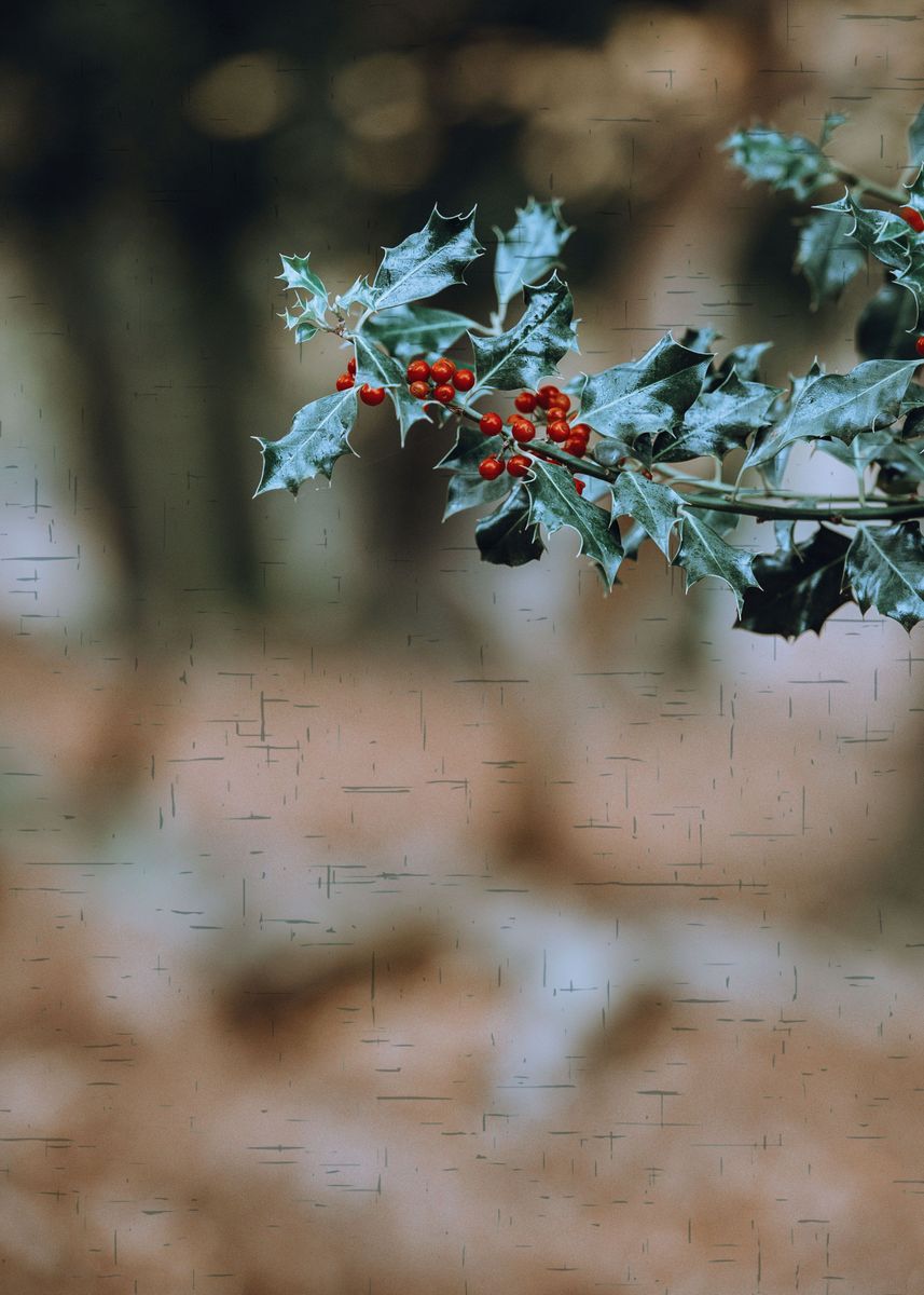 'happy nature' Poster, picture, metal print, paint by Dany cristiano ...